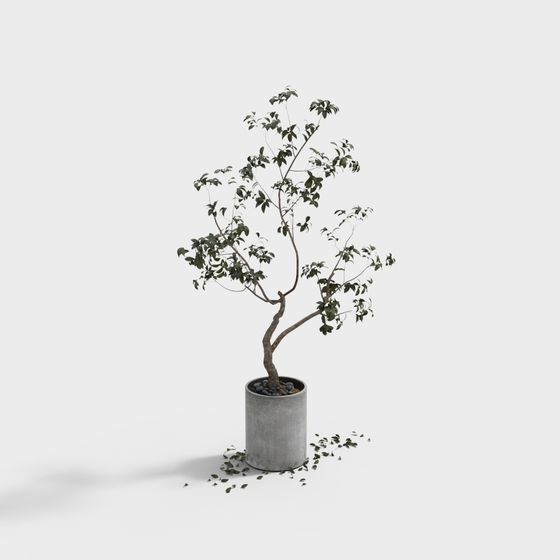 Low-Poly Plant Model 3D Model for Creative Projects