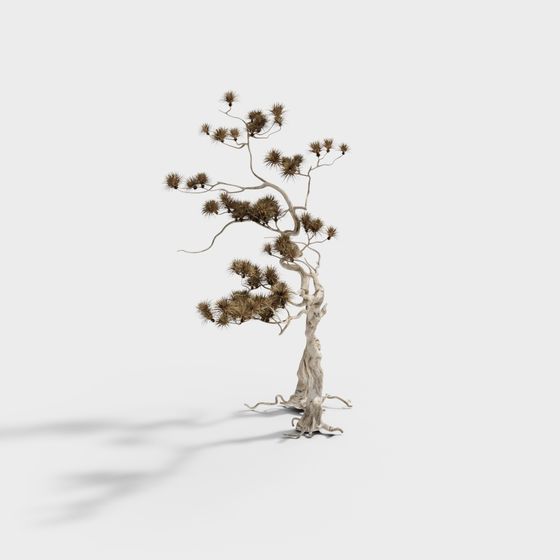 Windblown Old Tree 3D model