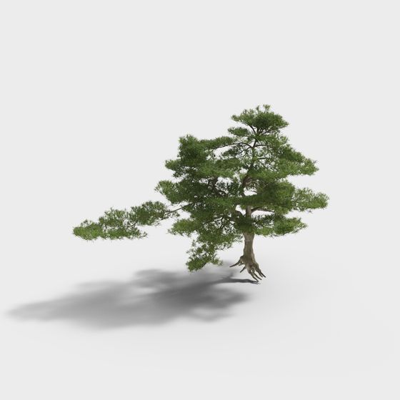 Detailed Low-Poly Pine Tree 3D Model