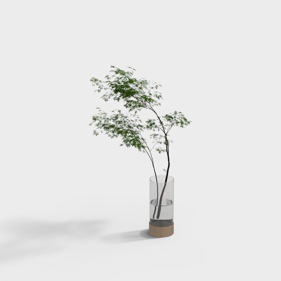 Realistic Hydroponic Plant 3D Model – Low-Poly Natural Design