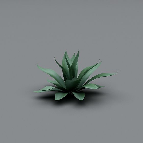 Vibrant Succulent Plant 3D Model – Low-Poly Green Foliage
