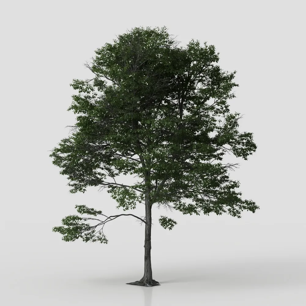 3ds max low poly tree