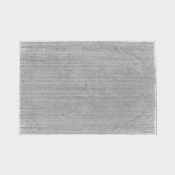 Realistic Wood Texture Carpet 3D model