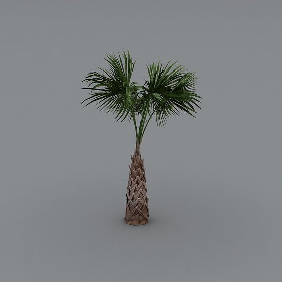 Gray Palm Tree 3D Model – Tropical Element Free