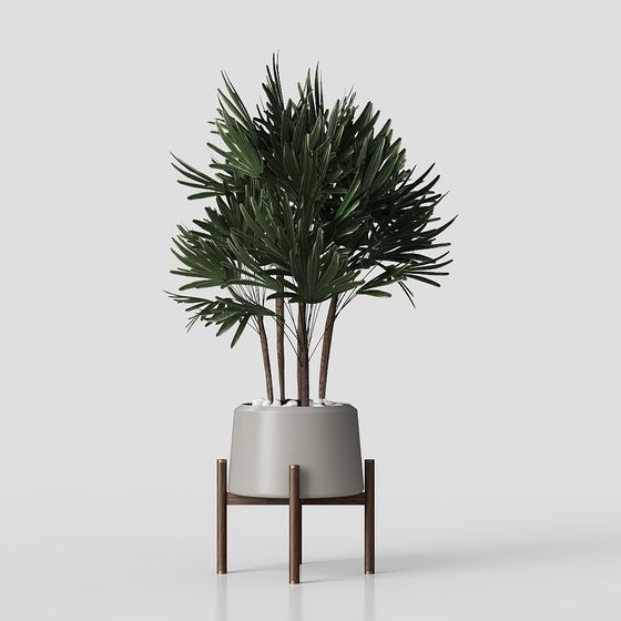 Elegant Low-Poly Plant Pot 3D Model – Tropical Design